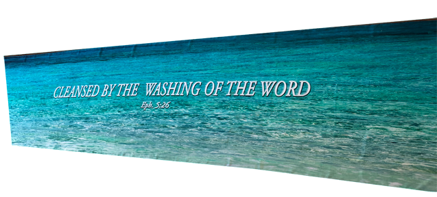 Cleansed by the Washing of the Word Billow | High Praise Banners