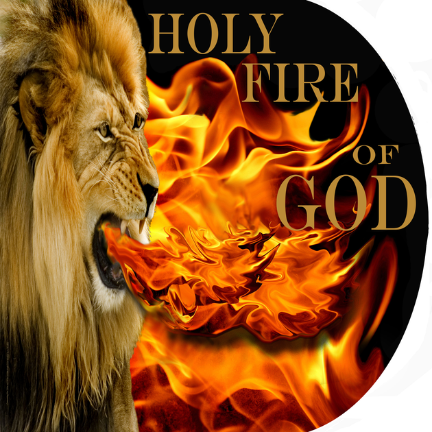 Holy Fire of God Wing Flags | High Praise Banners