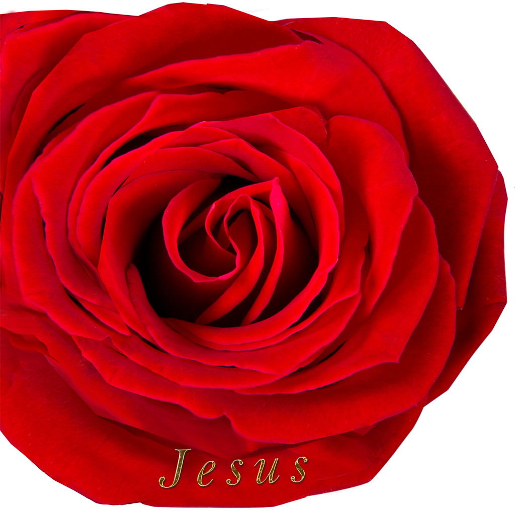 Jesus/Rose of Sharon Worship Wing Flag Set | High Praise Banners