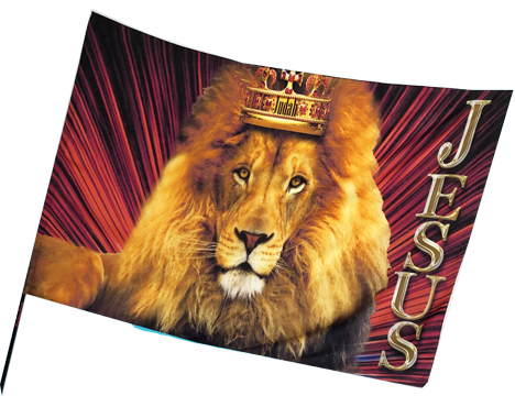 Lion Lg. Red Rays Jesus Worship Flag | High Praise Banners